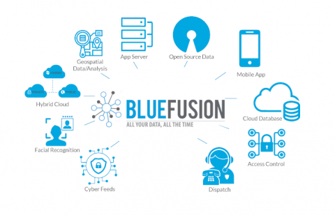 Blue Fusion (LIVE) | Blue Light LLC